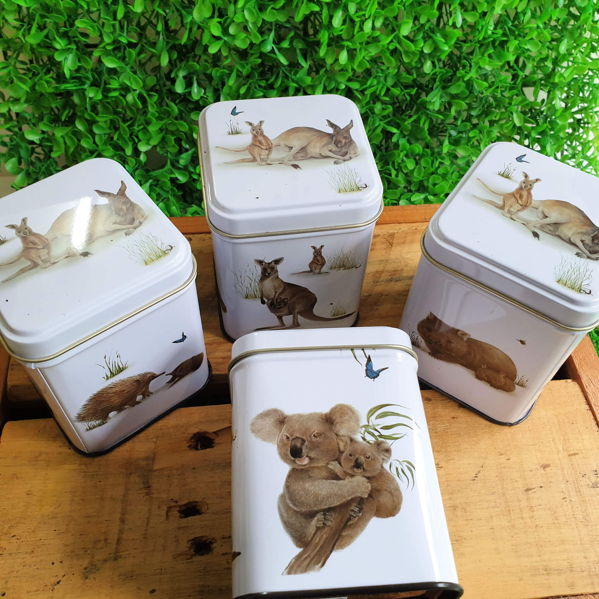 Tin - Australian Birds or Animals – Far North Plantations