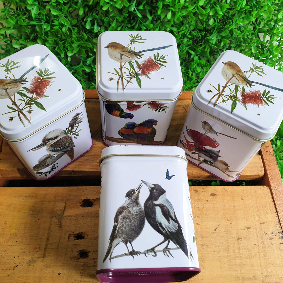 Tin - Australian Birds or Animals – Far North Plantations